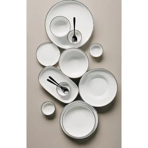 DANICA BRANDS Set Of 4 Tundra Pasta Bowl